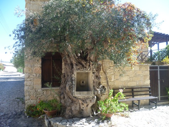 Lofou-Sylikou-Pera Pedi-Lofou | WALKING IN CYPRUS