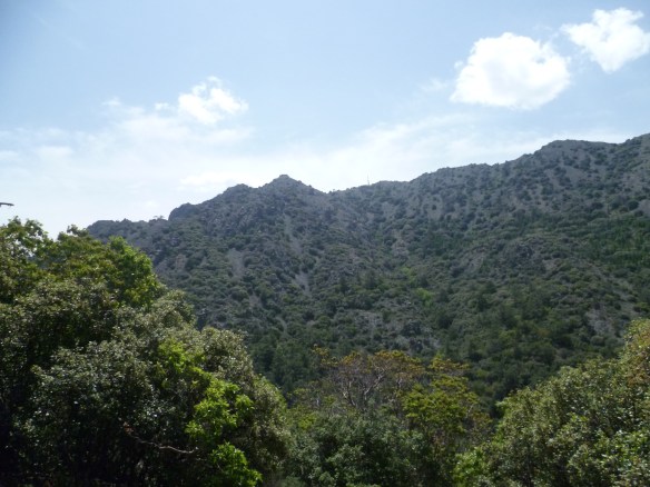 Spilia-Mt. Adelfoi-Madhari Ridge-Spilia | WALKING IN CYPRUS
